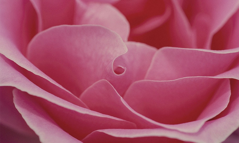 Soft Touch & Haptics - Nobelus University